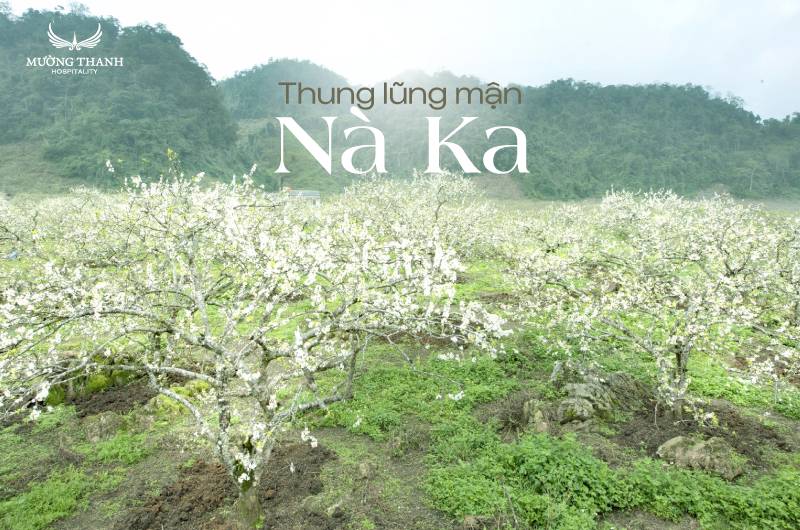 TOP 20 địa điểm du lịch Sơn La hấp dẫn nhất